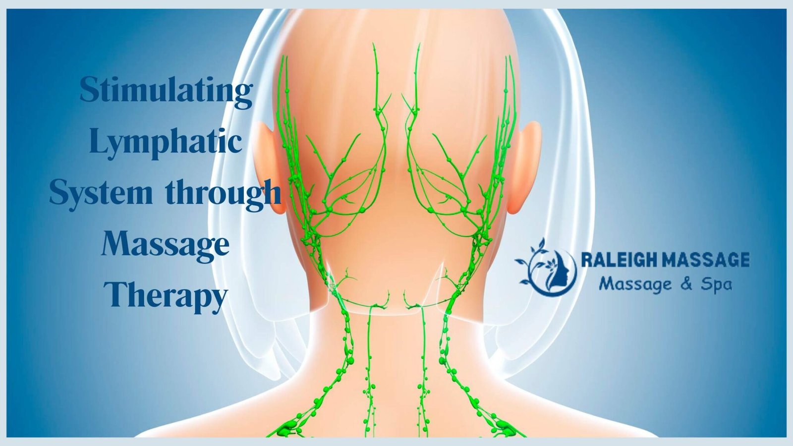 What is Lymphatic Drainage Massage? - Raleigh Massage
